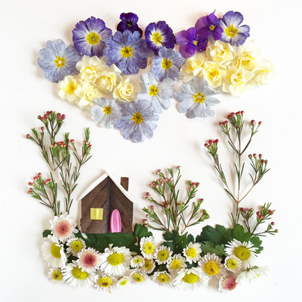 Art || Flora Forager - Mimosa Lane