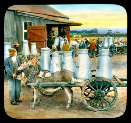 Listowel Connection: Valentine's Day, Lupercalia and the horse