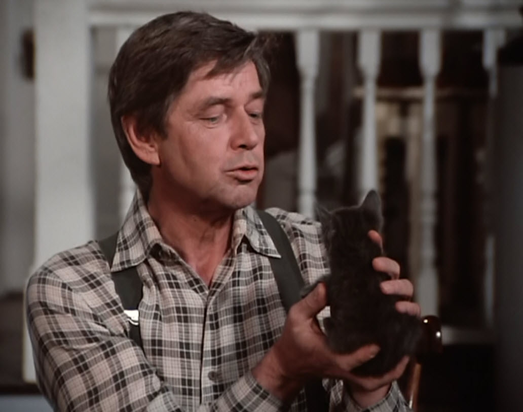 The Retro Rocket: Waltons 8.14: “The Fastidious Wife”