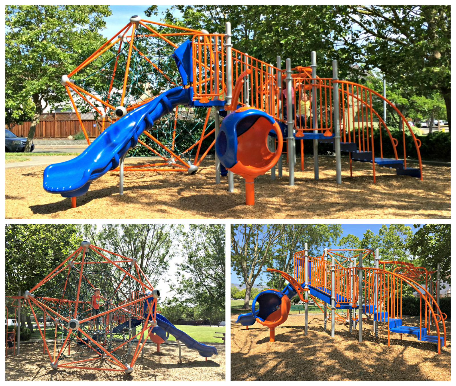 The Everyday Momma: Petaluma Playground Guide