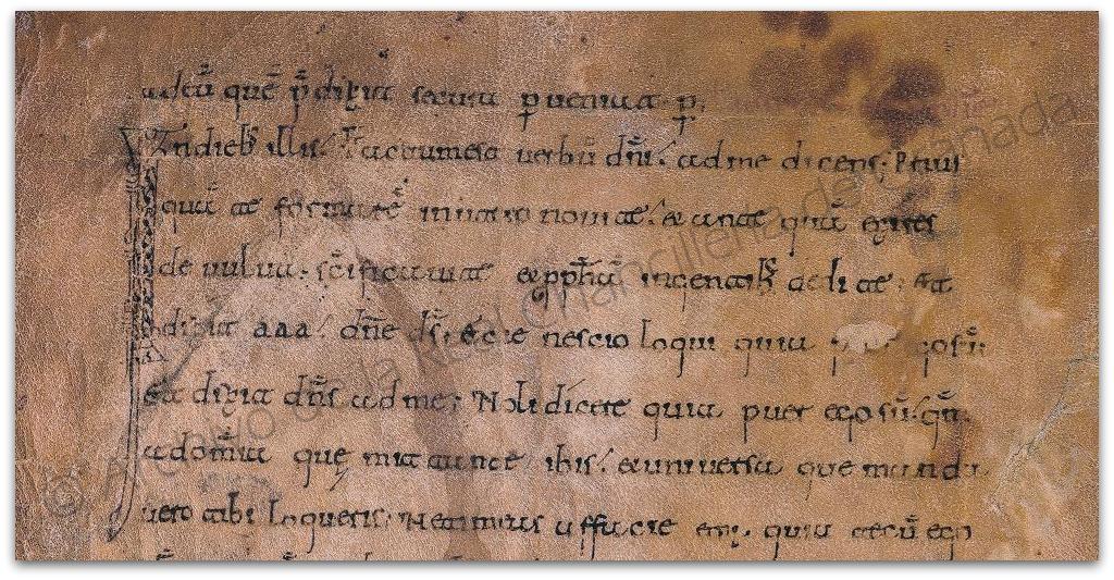 CARTULARIOS MEDIEVALES. Medieval Cartularies: 1er DOCUMENTO MANUSCRITO ...