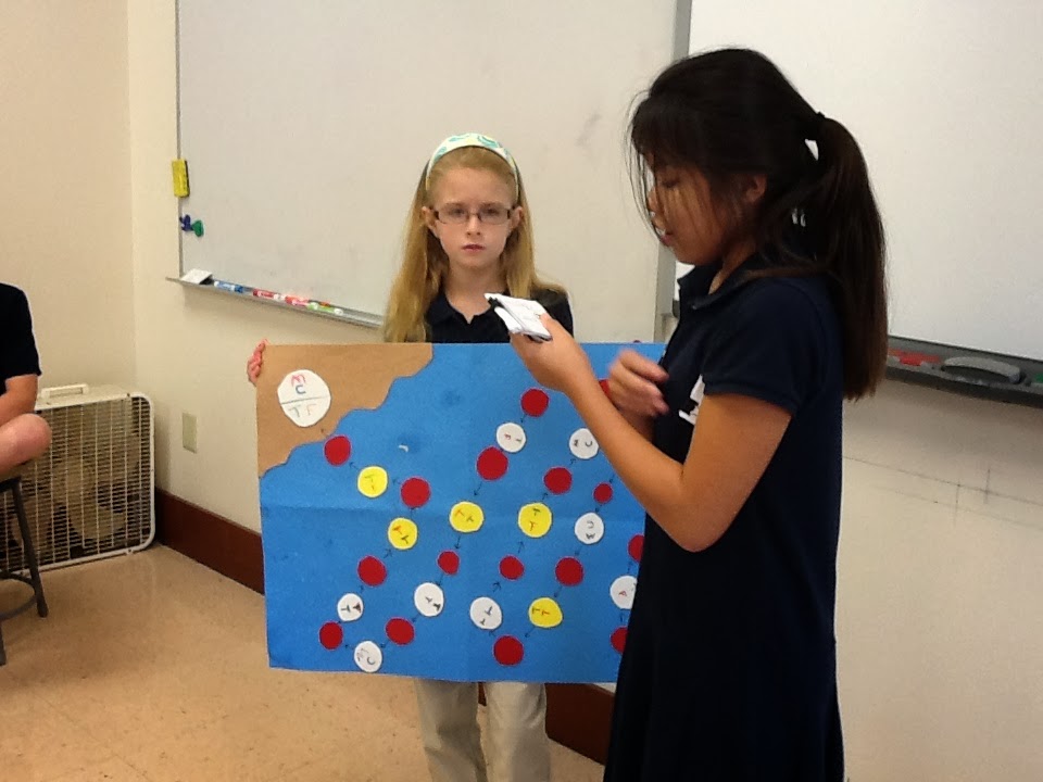 Villa Augustina MS Science and Math: Ocean Projects - 6th Grade