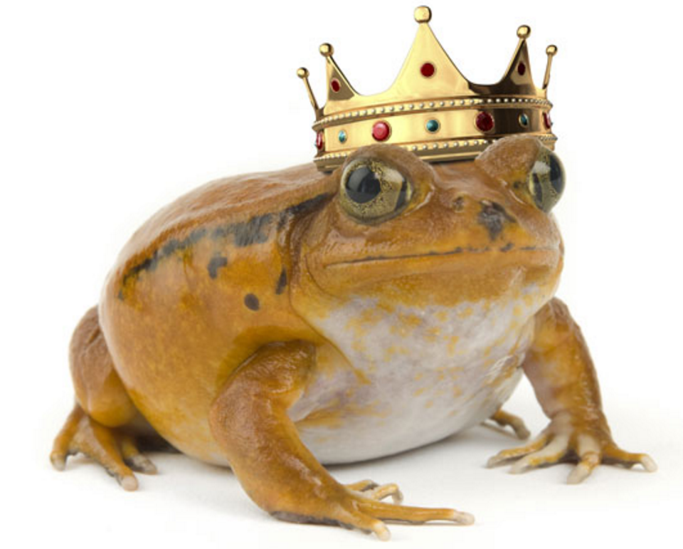 Down Report - Human error takes AWS S3 down in US-EAST-1 - and it is ...