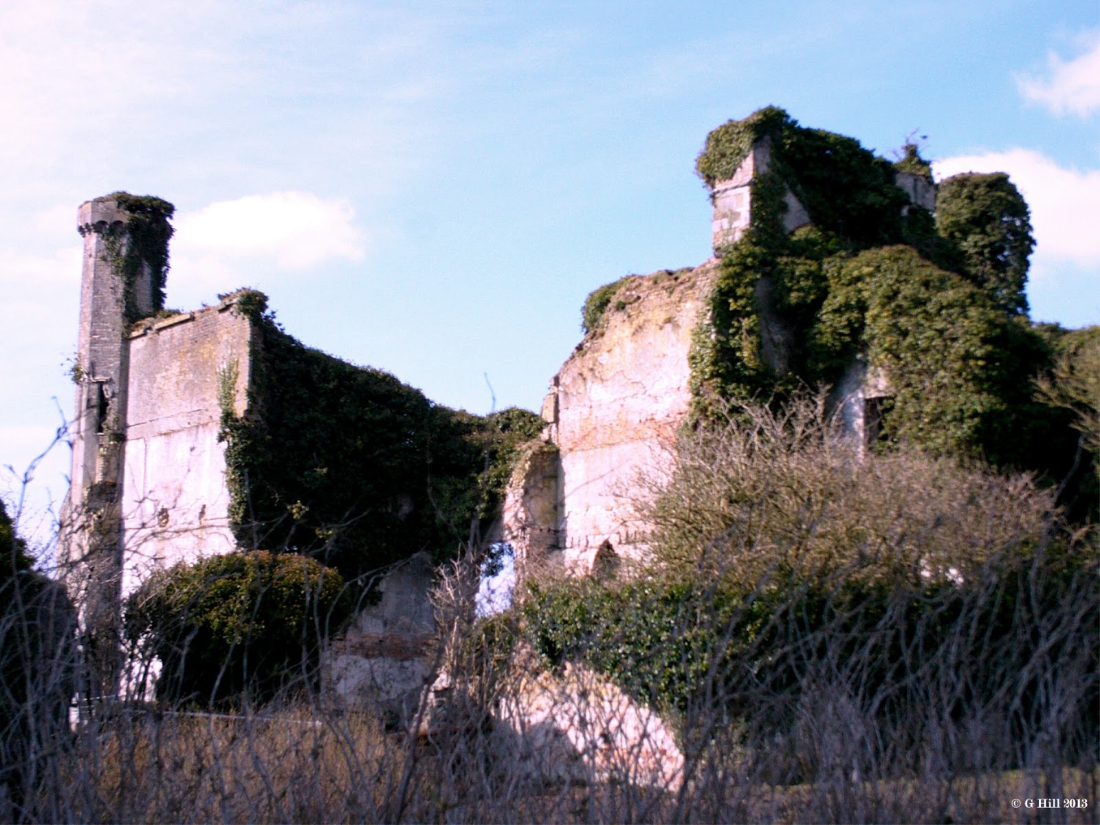 Ireland In Ruins: Moydrum Castle Co Westmeath