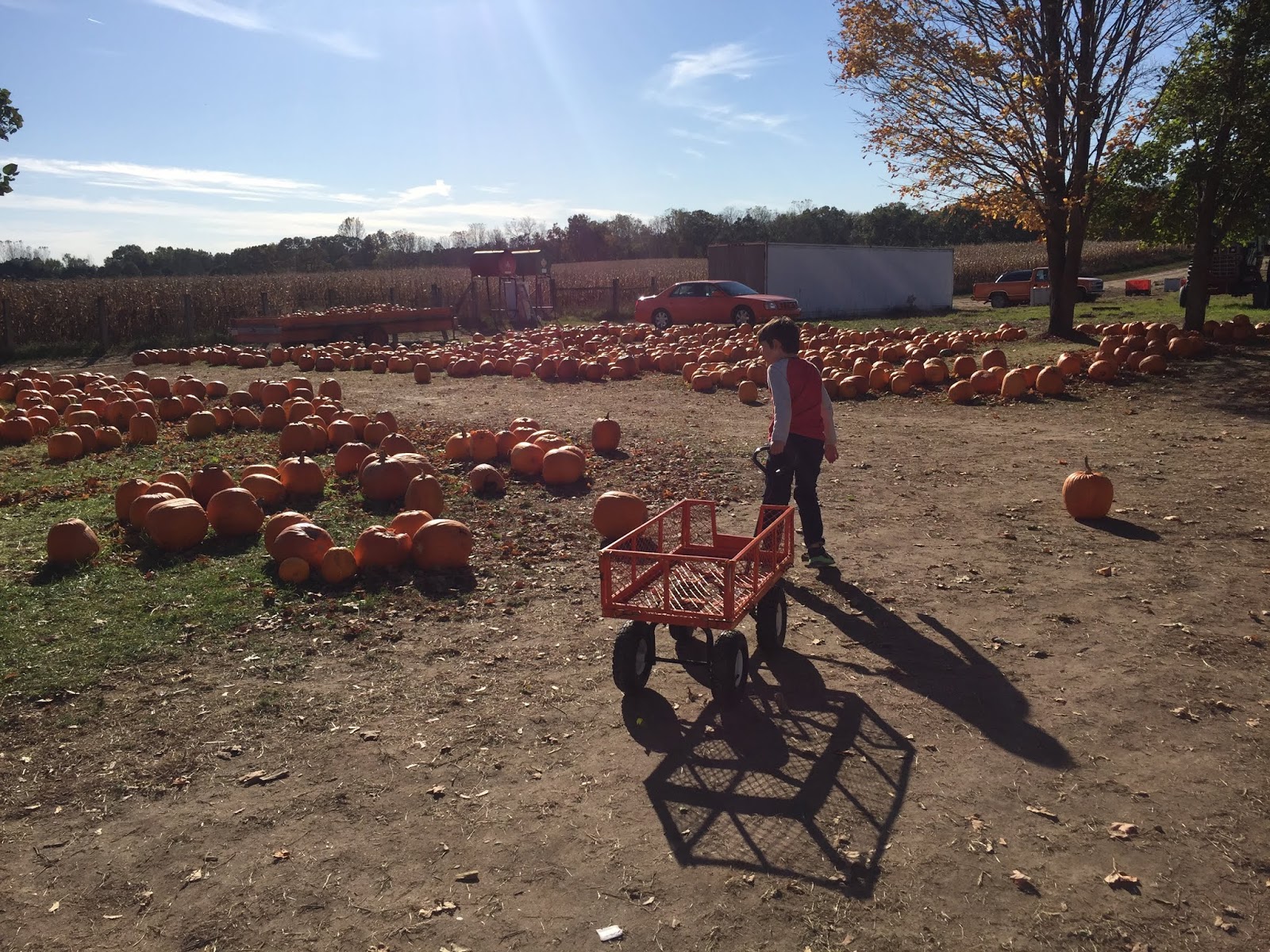 poke it with a stick. image gallery: gene the pumpkin man