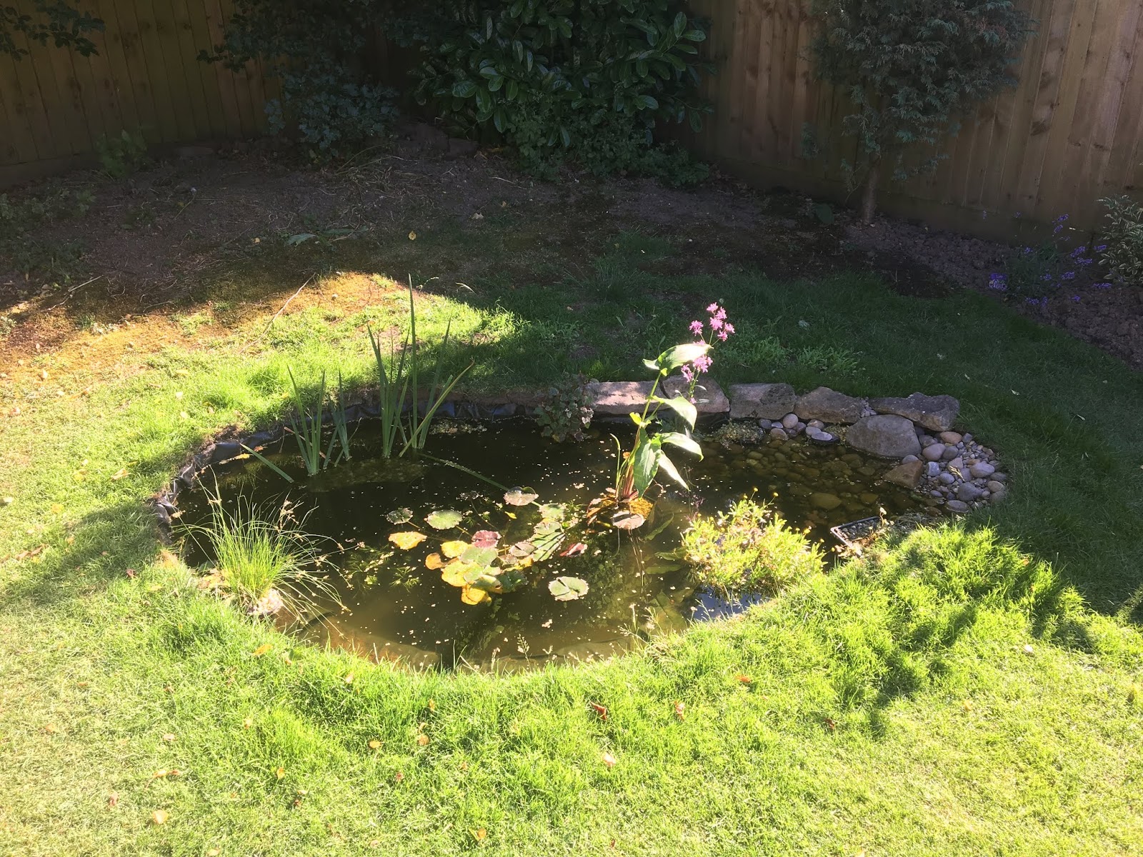 Matt Cole Macro Photography