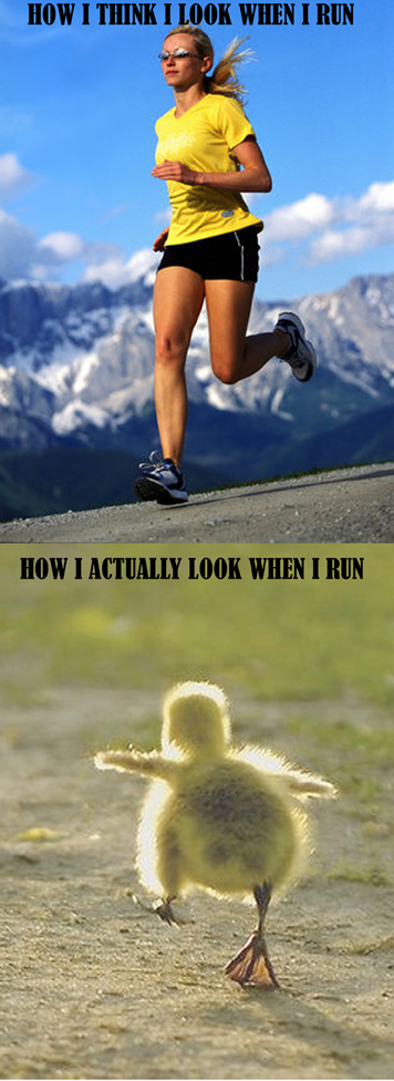 4eyes4health: COUCH TO 5K HUMOR