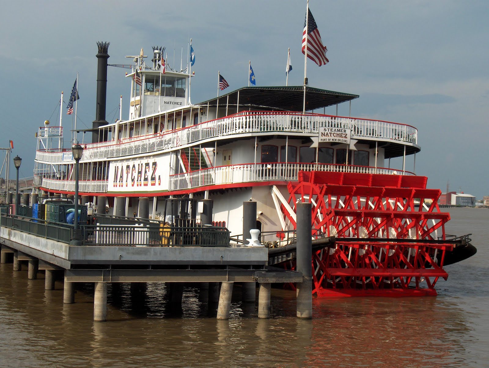 Paddle Boat: Paddle Boat Cruise