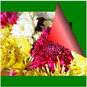 8 jQuery Page Flip Book Effect Plugin Examples - ASP.NET,C#.NET,VB.NET,JQuery,JavaScript,Gridview