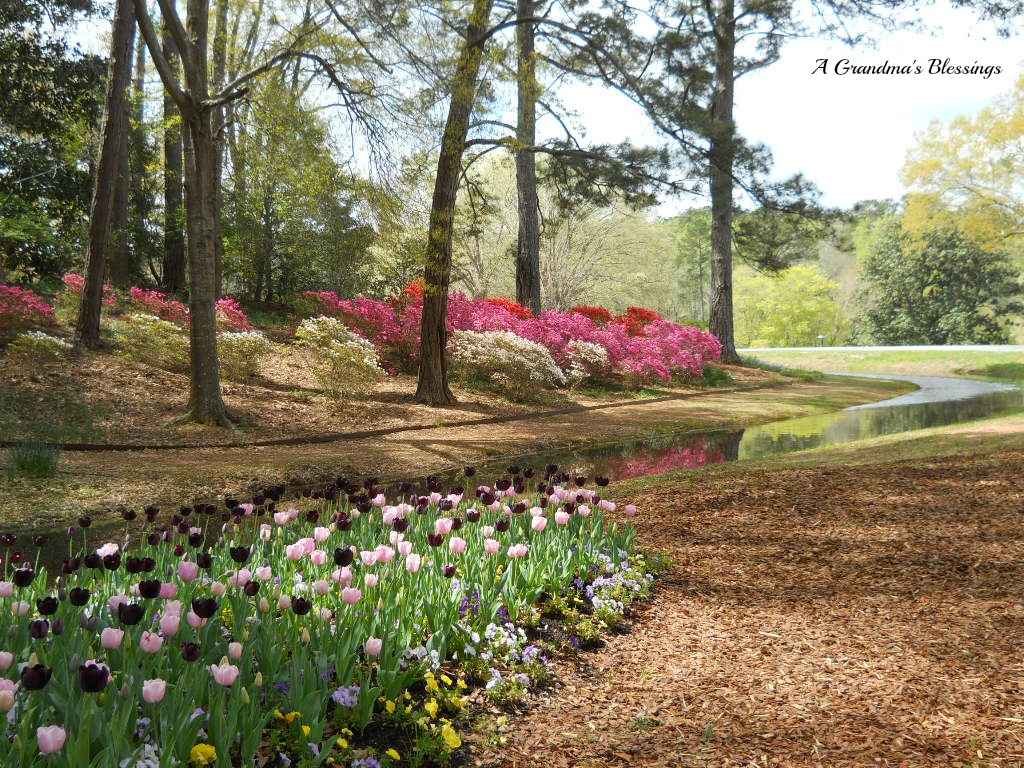 A Grandma's Blessings: MY DAY AT CALLAWAY GARDENS