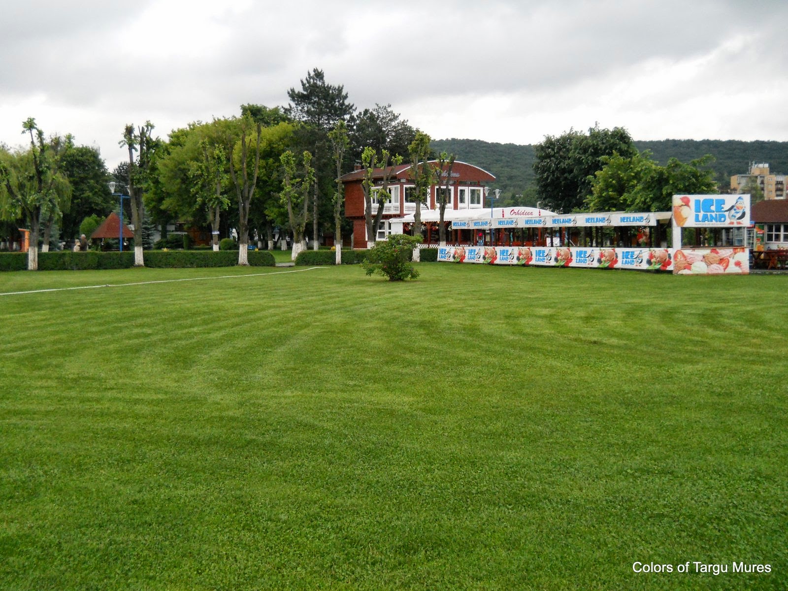 Pajiste naturala ~ Colors of Targu Mures