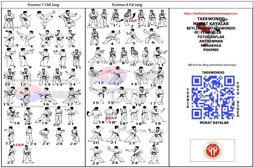 https://beylikduzutaekwondo.blogspot.com: Poomse