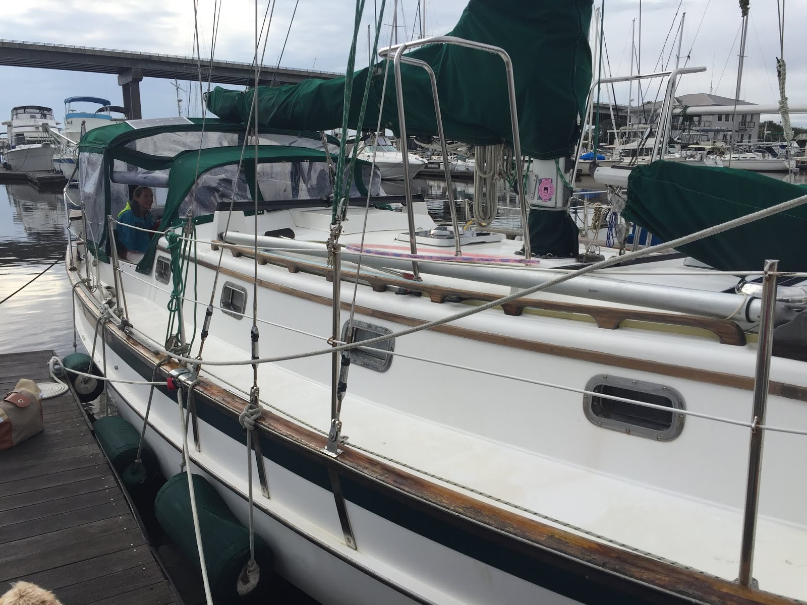 Adventures in Boat Buying - Boat Life Larks - SV Dulcinea