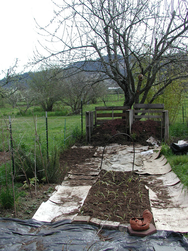 Digging In - A Mountain Hearth