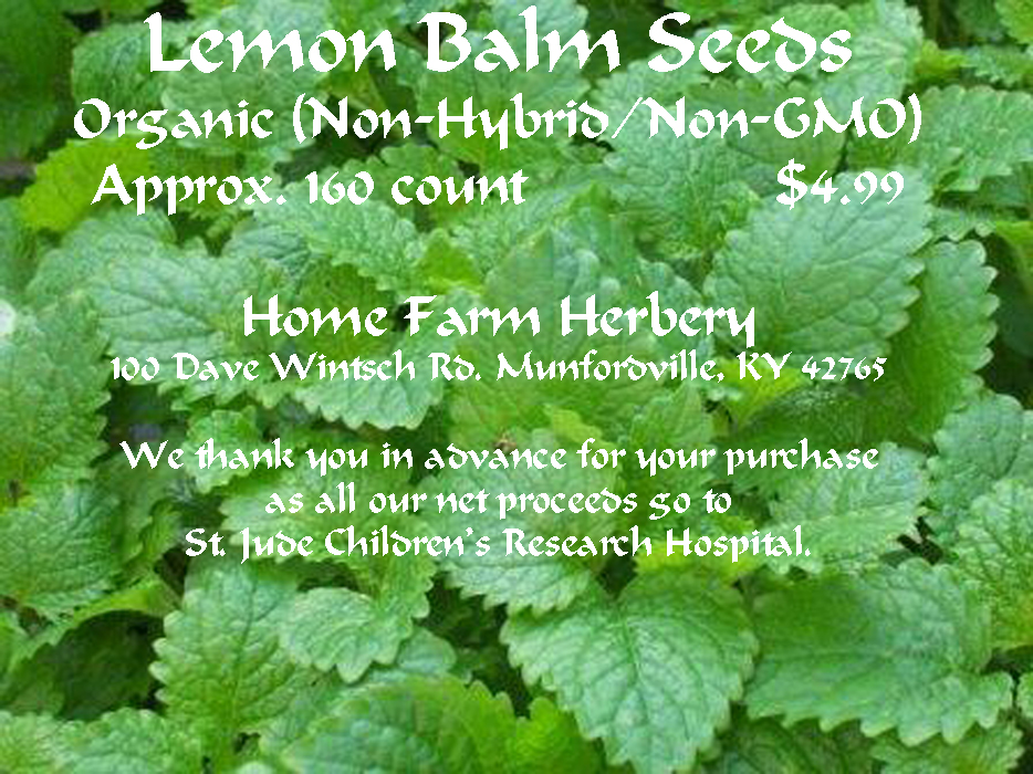 Lemon Balm Seeds Non Hybridnon Gmo Home Farm Herbery