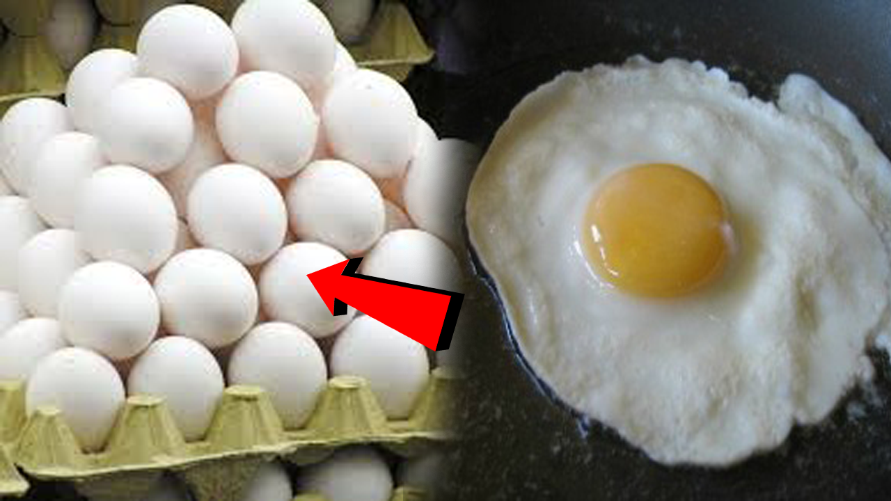 HANGGAT MAARI IWASAN ANG PAGKAIN NG EGG O ITLOG, ITO PALA AY NAKAKASAMA ...