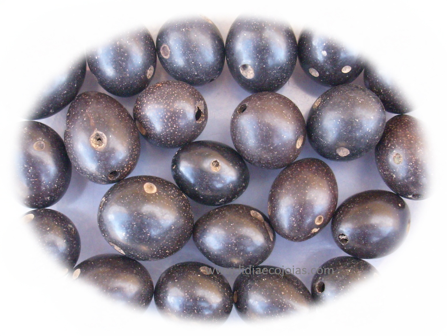 Sementes para Bijuteria: Tucumã - Sementes