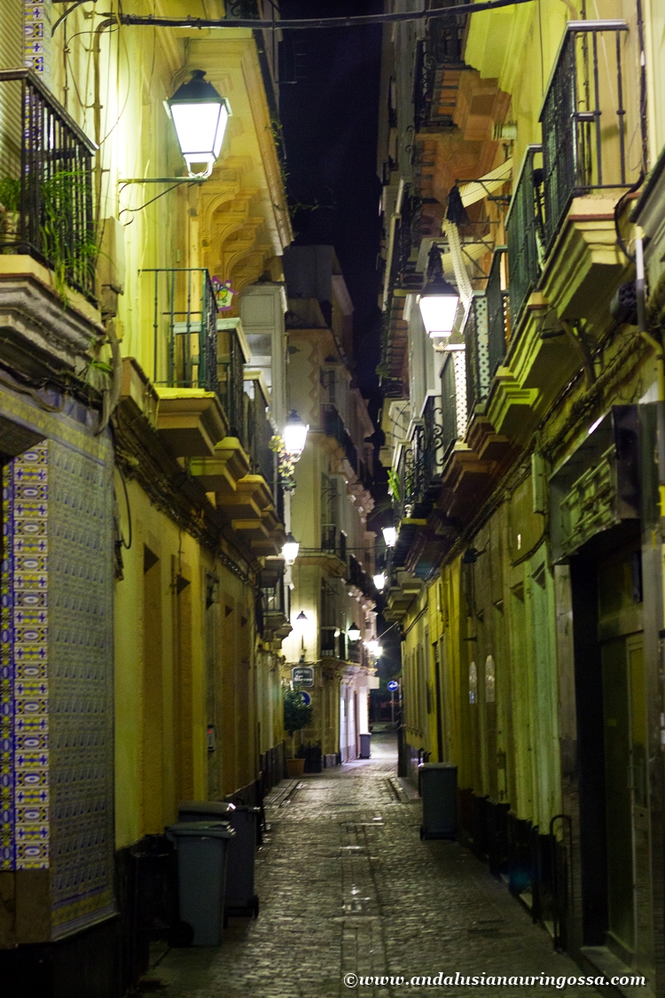 Under the Andalusian Sun : Cadiz by night