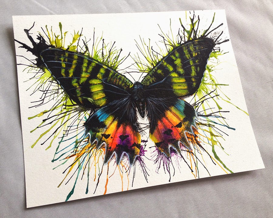 Scenery Images: Sunset Moth Images