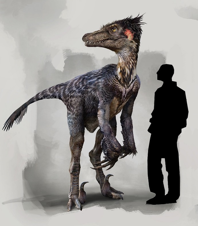 Made in Pangea: ¿El mayor de los raptores? Dakotaraptor.