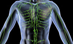 MedFriendly Medical Blog: 7 Ways to Naturally Stimulate the Lymphatic ...