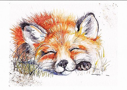 Art Now and Then: Fox Art