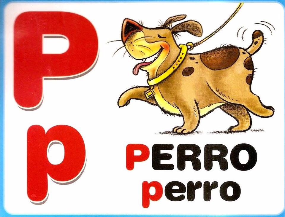 Burbuja de Lenguaje: Abecedario de Animales