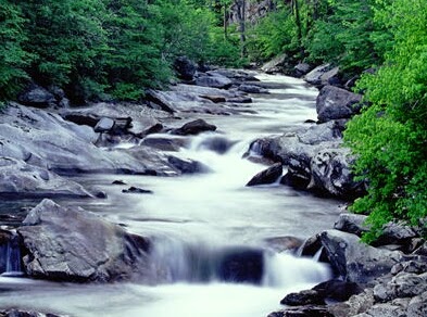 SHAKINAH SHAKIREN JOURNAL COLLECTION