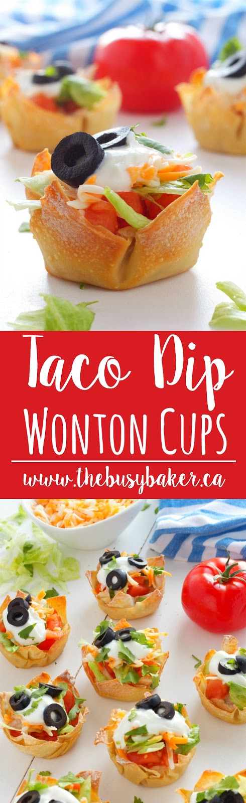 Mexican Taco Dip Wonton Cups - The Busy Baker