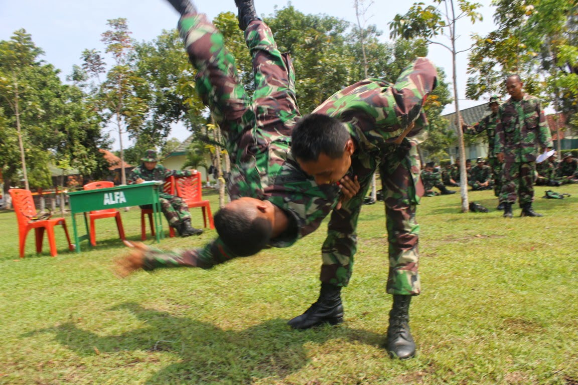 Pecinta Militer
