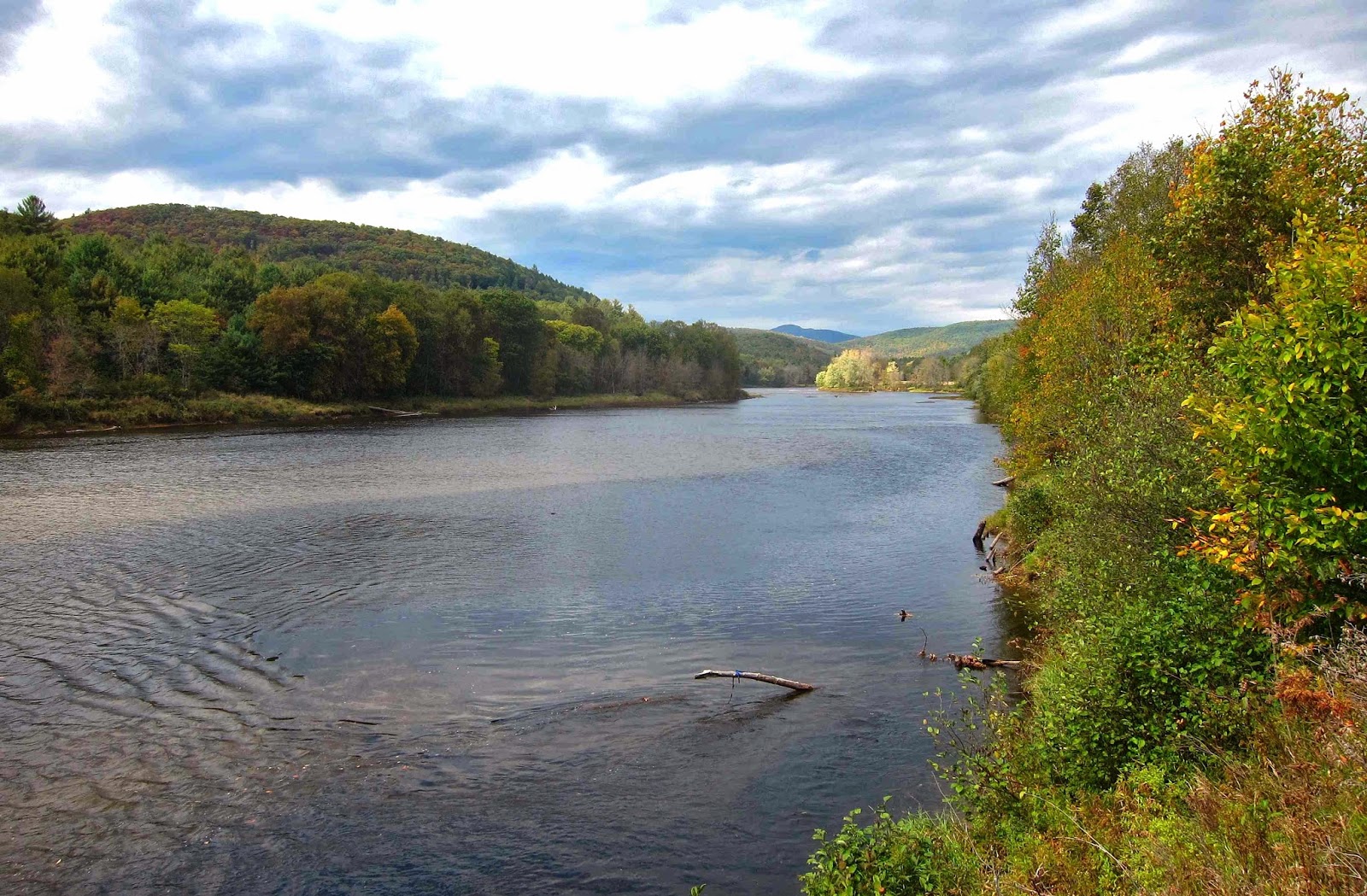 Saratoga woods and waterways: Going Upriver