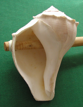 Adventurez in ChildRearing: The Shell People - The Mighty Calusa