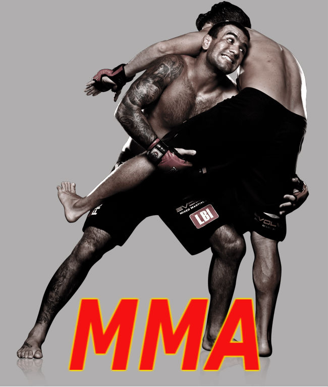 RAZONES PARA APRENDER MMA - MasFitnessPlus