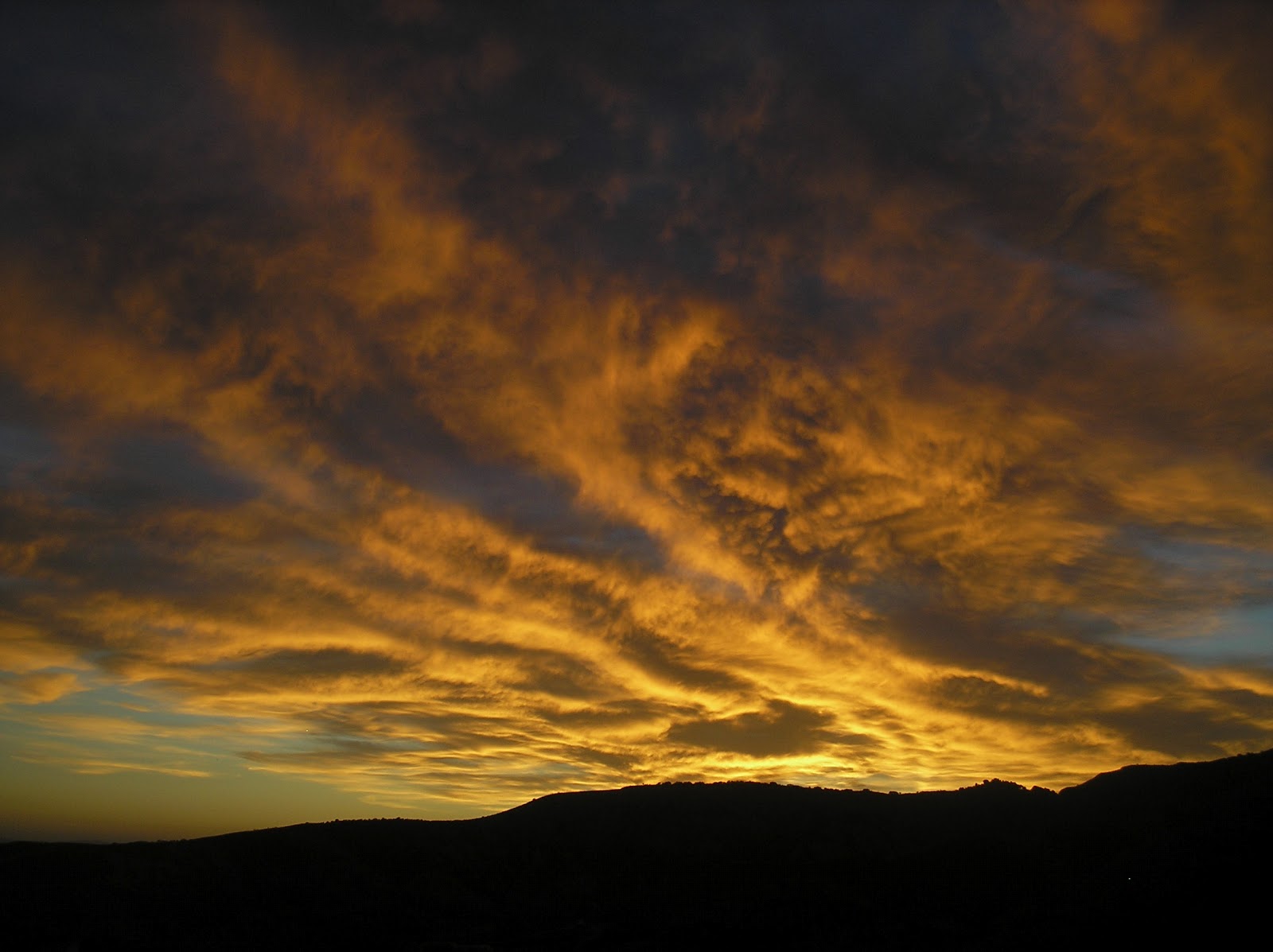 Estrellas de Sierra Nevada: Los arreboles