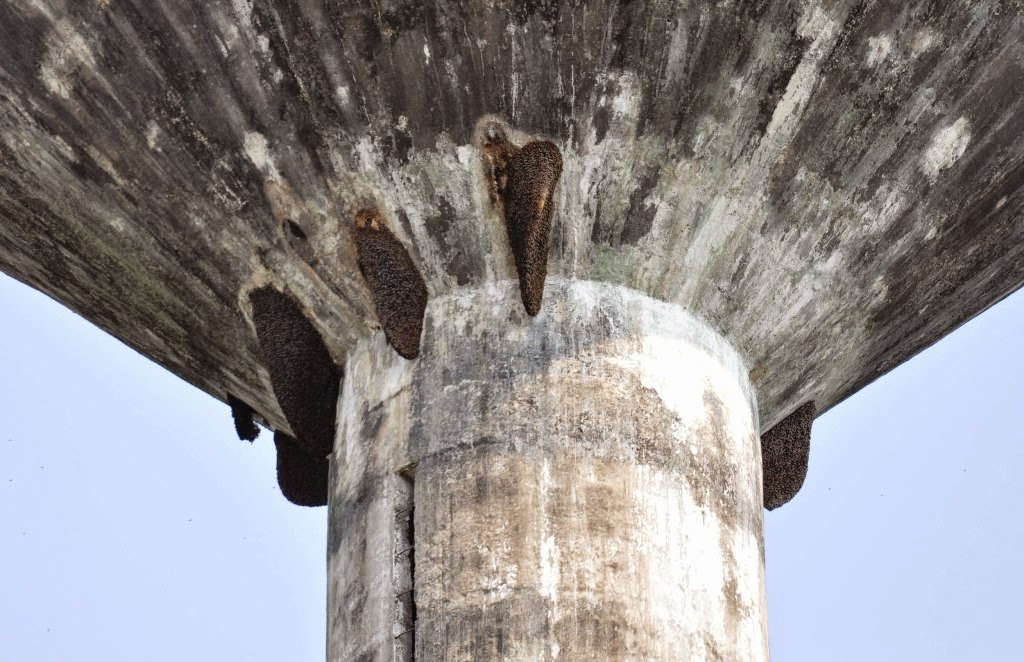 PRABALA GRISHMA PRABAHA O GARAMKU KHATIR NA KARI GUNDUCHI MUSA TI ...