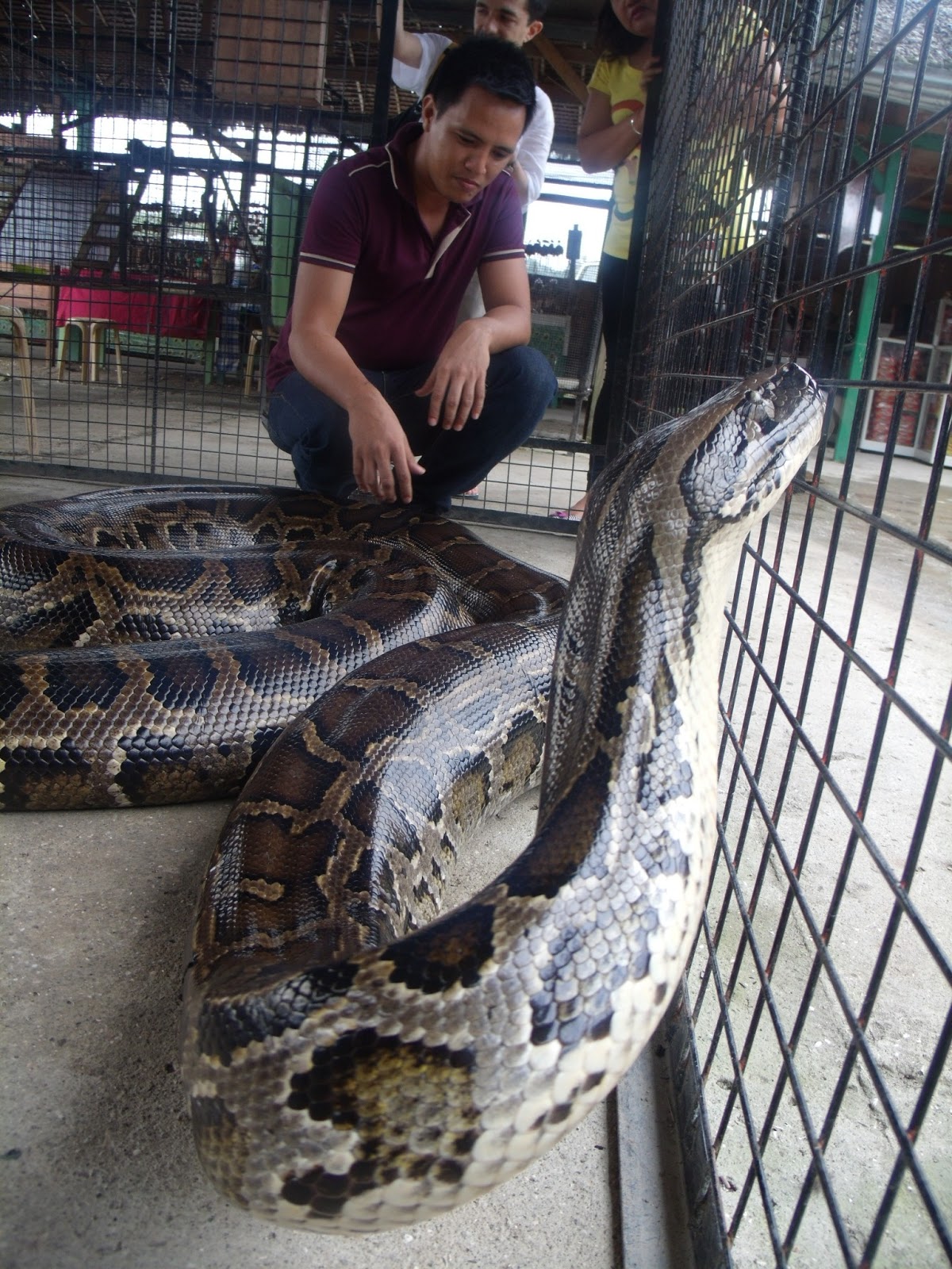 Our WANDERful JouRnEy!: Falling in Love with Bohol province part II