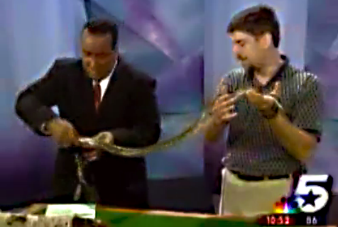 Awesome Stuff: Hilarious Video: Snake-Handling Newscaster Is Startled