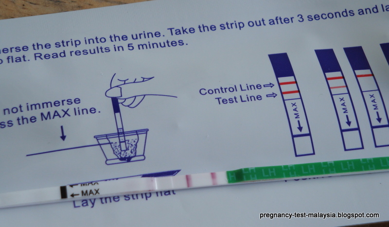 Ovulation (LH) & Pregnancy (HCG) Test Malaysia: Ovulation (LH)