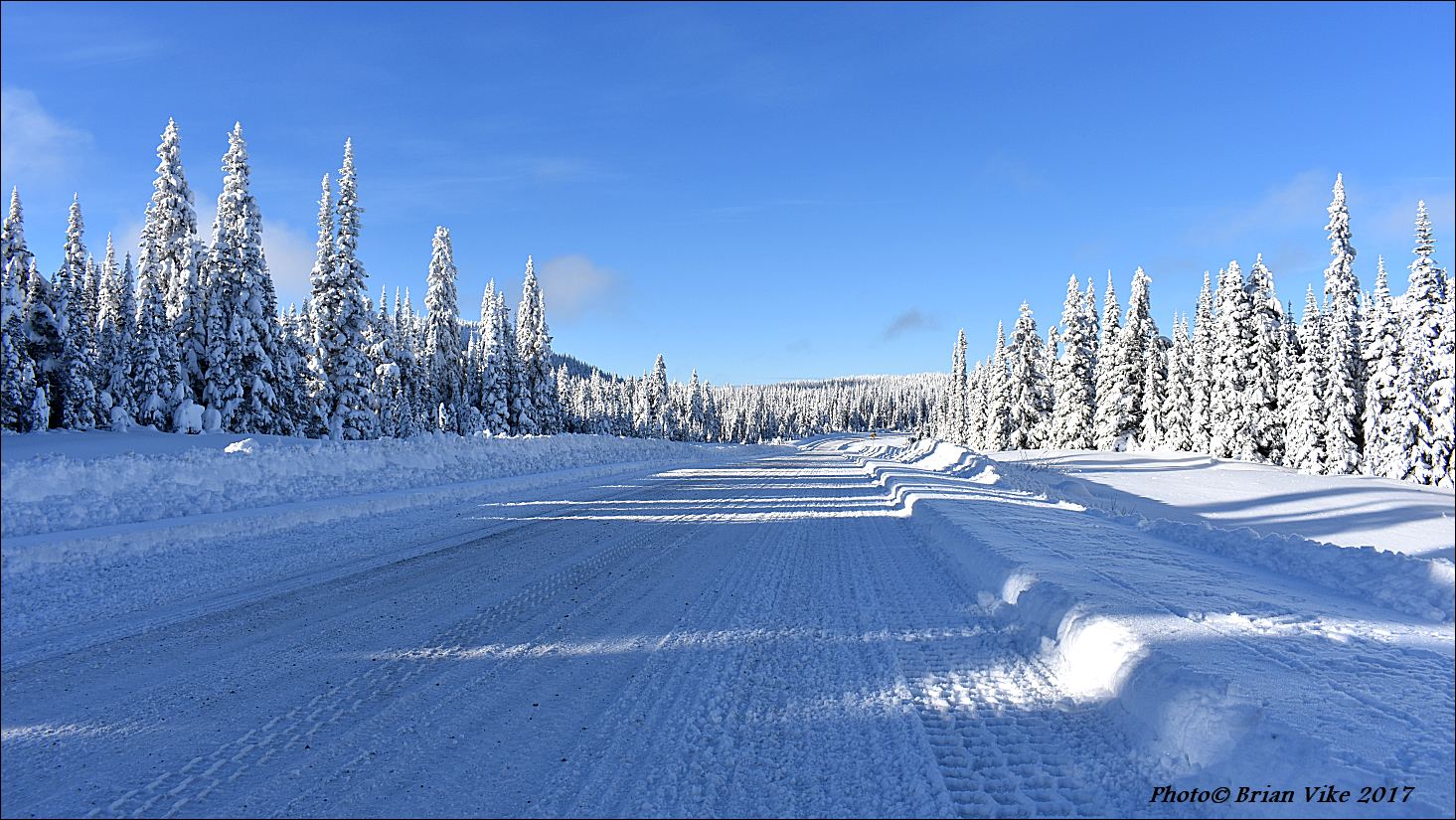 Northern Interior British Columbia: Snow Giants Houston British Columbia