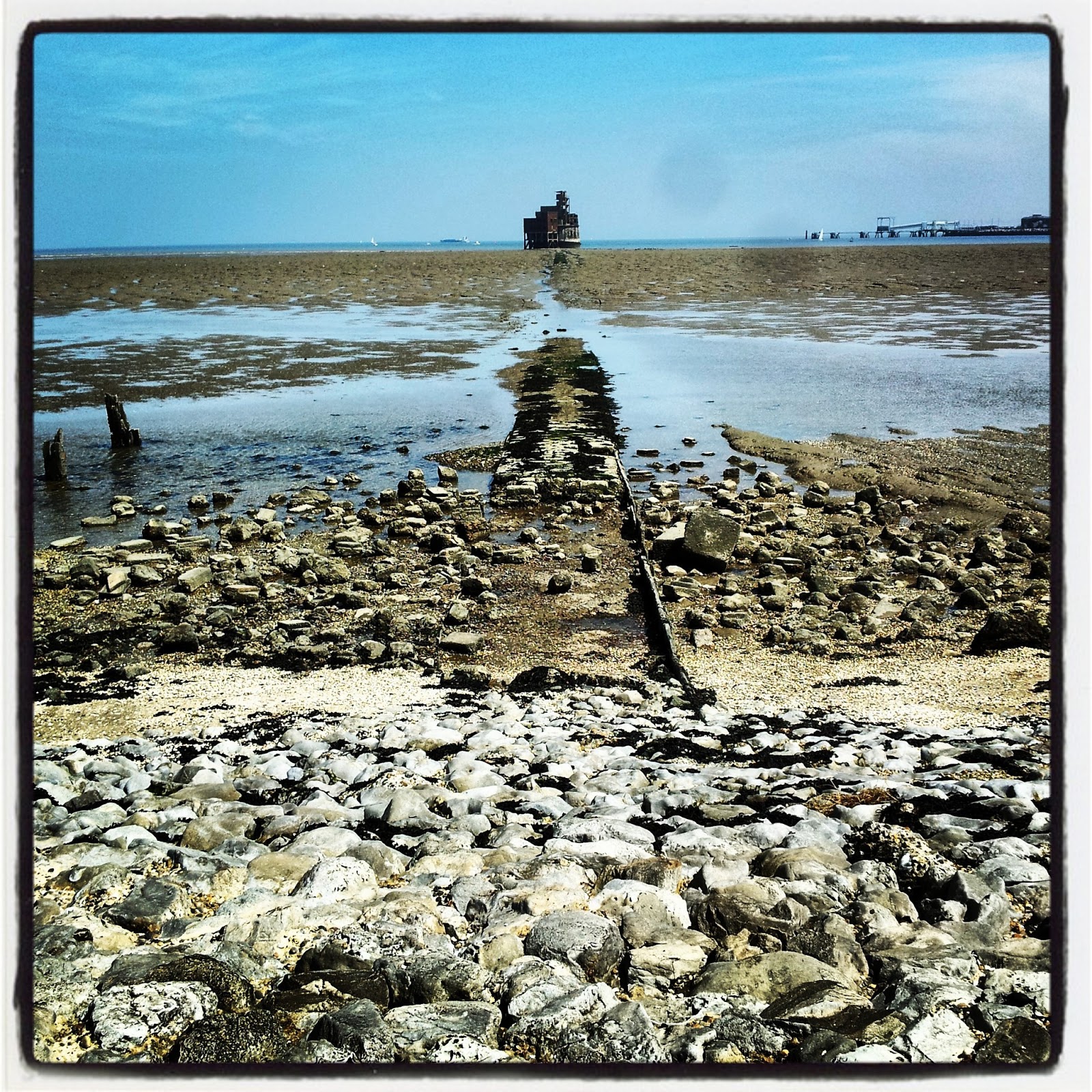 Notes from Kent's Hoo Peninsula: May 2013