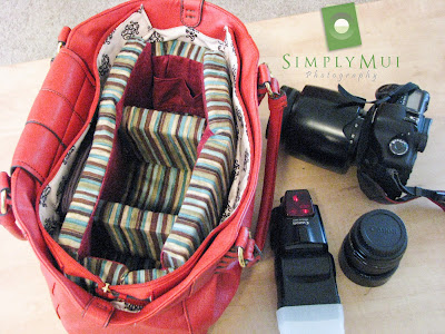SimplyMui Photography: Camera Padding Insert: Anti-DIY