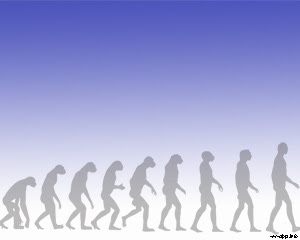 updated human (යාවත්කාලීන මානවයා)...: THE MILESTONE OF HUMAN EVOLUTION....