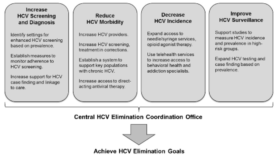 Strategies for the elimination of HCV infection as a public health ...