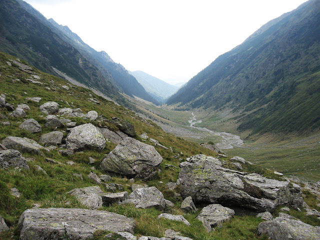 Hai cu noi la munte!: Vf. Moldoveanu prin Valea Vistei Mari (22-24 aug ...