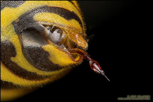 David Bayliss Photography: Jody Melanson