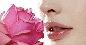 What is Hyposmia - Definition, Symptoms, Causes, Treatment - Health ...