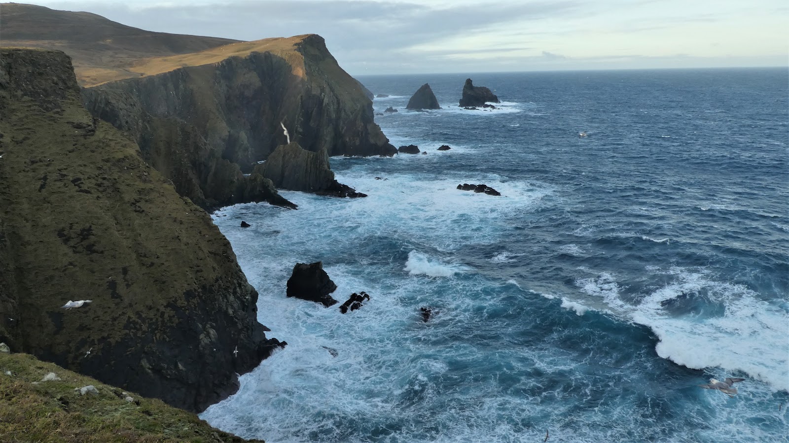 Fair Isle: Random Acts of Photography