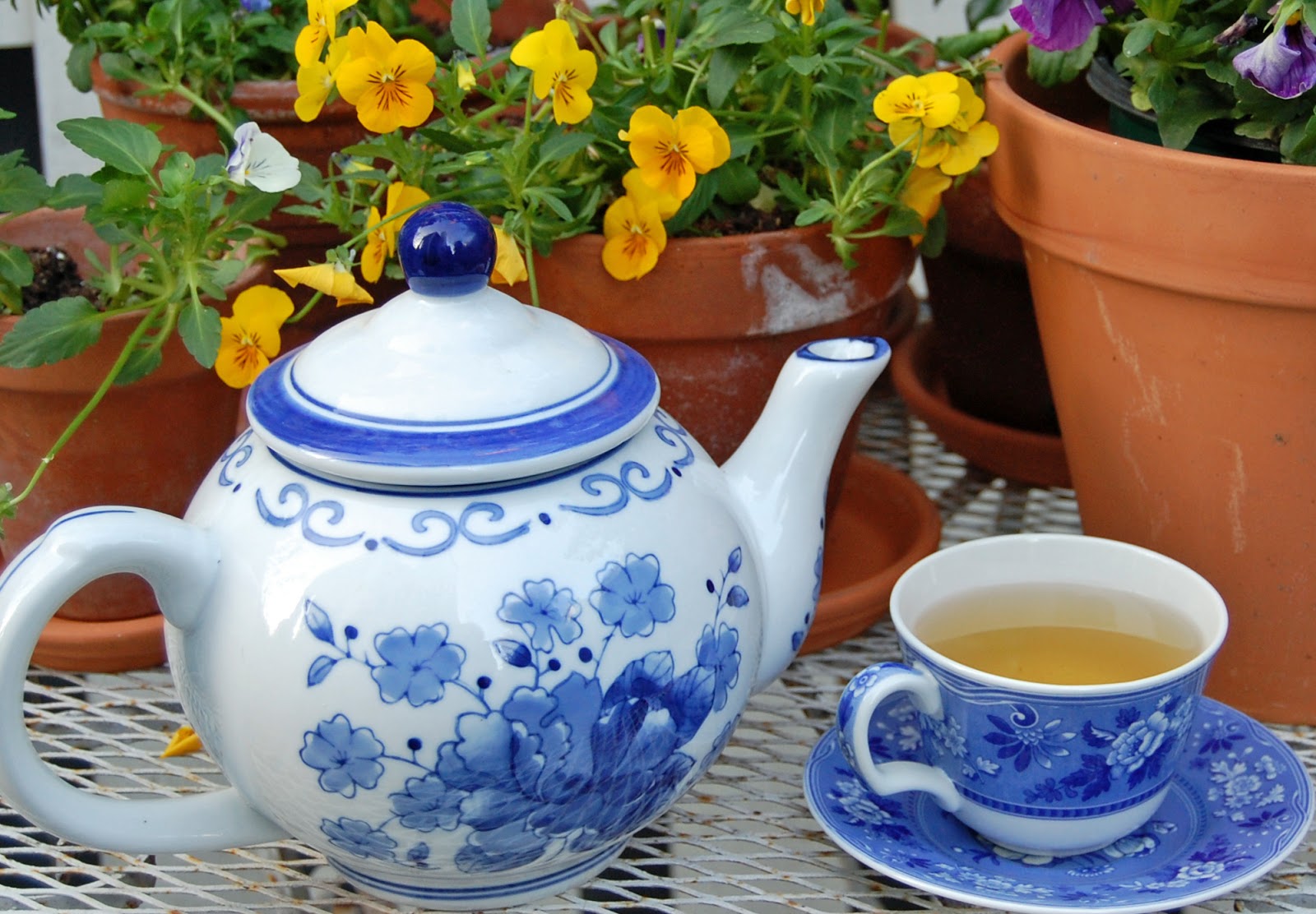 My Painted Garden: Painting Spring "Tea Cup Pansies"