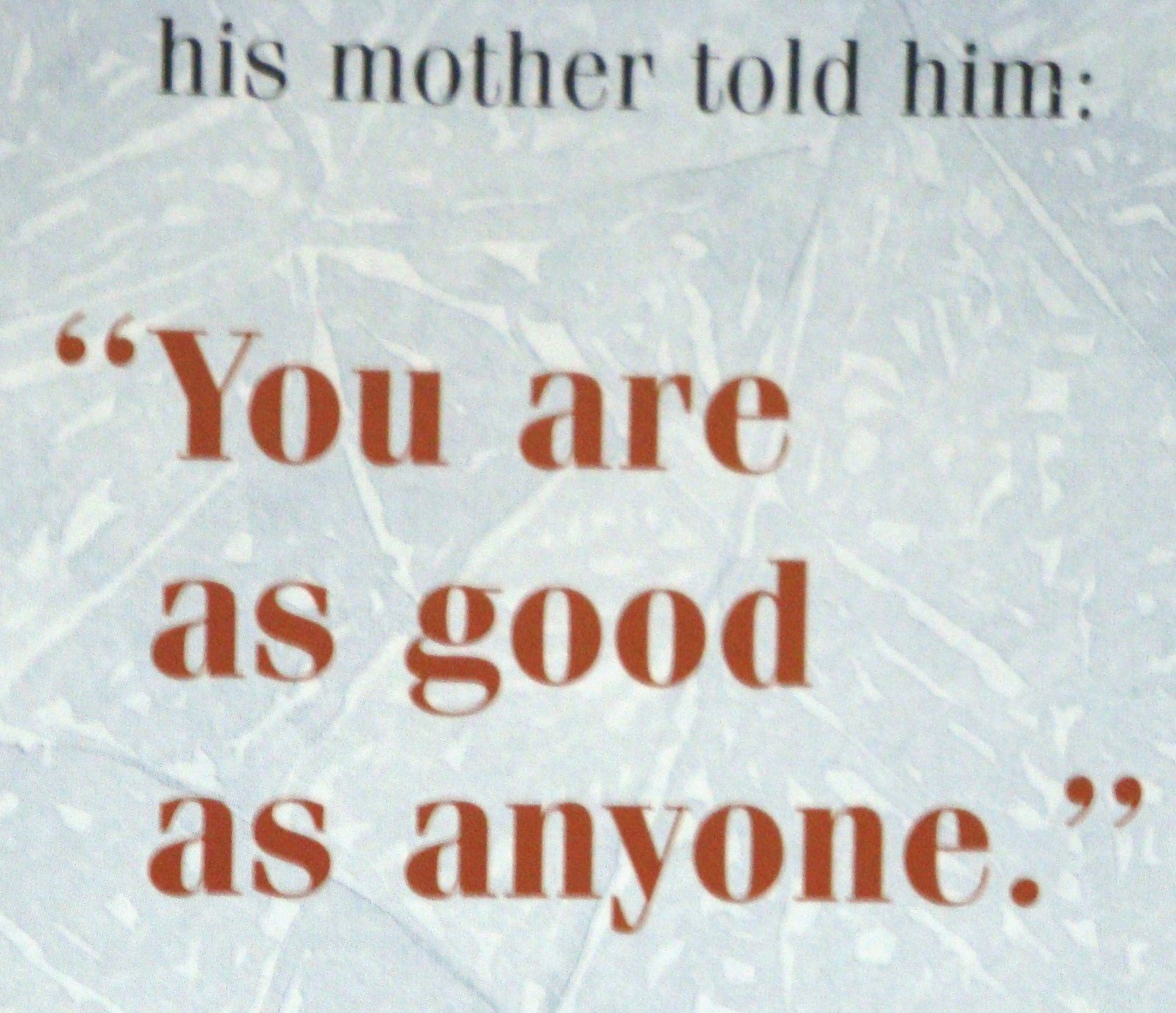 TEXTILE TROLLEY: A book review: Martin's Big Words: The Life of Dr ...