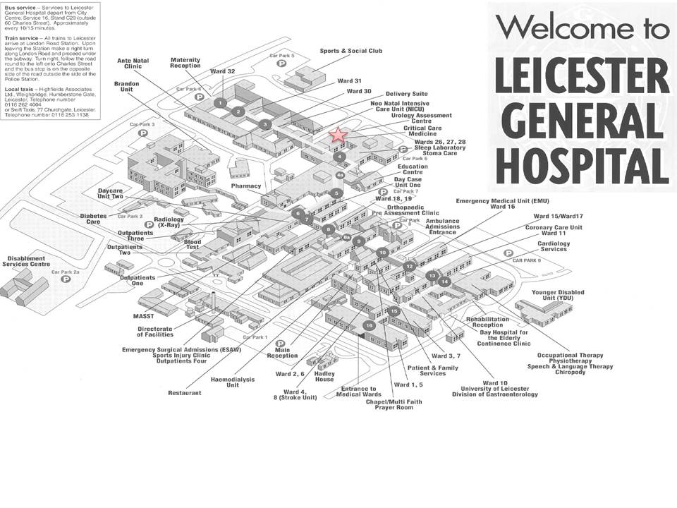 Team Elizabeth: October 2018